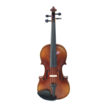 6 Types of Violins: A Guide for Musicians - Arioseviolin