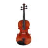 6 Types of Violins: A Guide for Musicians - Arioseviolin