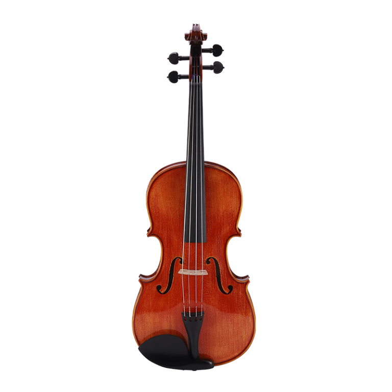 6 Types of Violins: A Guide for Musicians - Arioseviolin