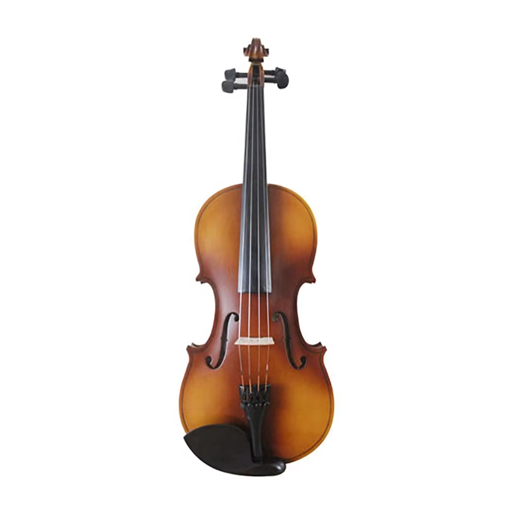 Custom Beginner Violins - Arioseviolin